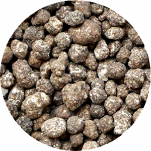 MicroEssentials SZ - Molinos & Cía