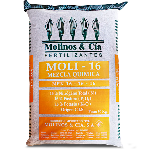 Moli - 16 - Molinos & Cía
