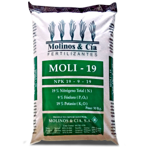 INICIO - Molinos & Cía