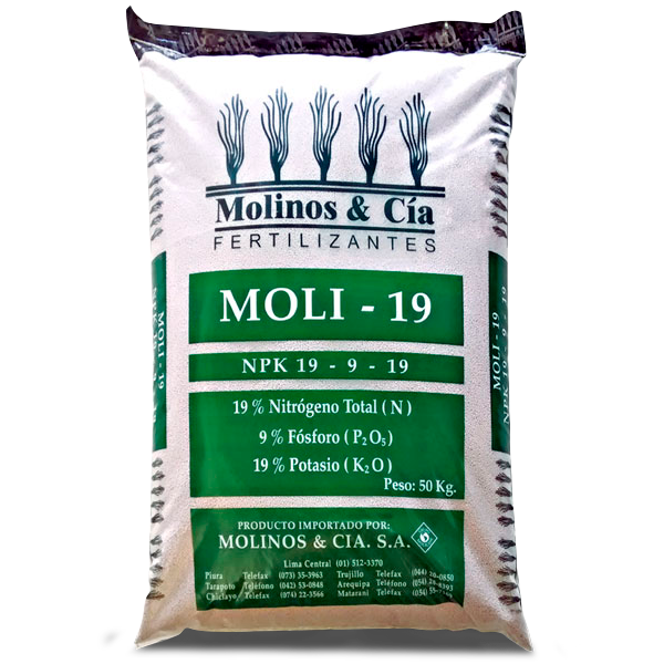 INICIO - Molinos & Cía