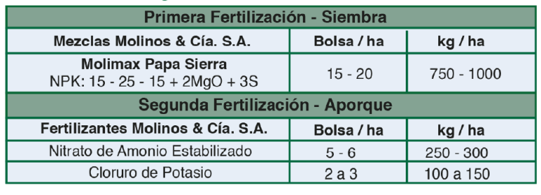 Fertilización del Cultivo de Papa - Molinos & Cía
