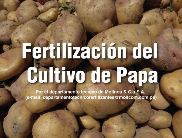 Fertilización Del Cultivo De Papa Molinos And Cía